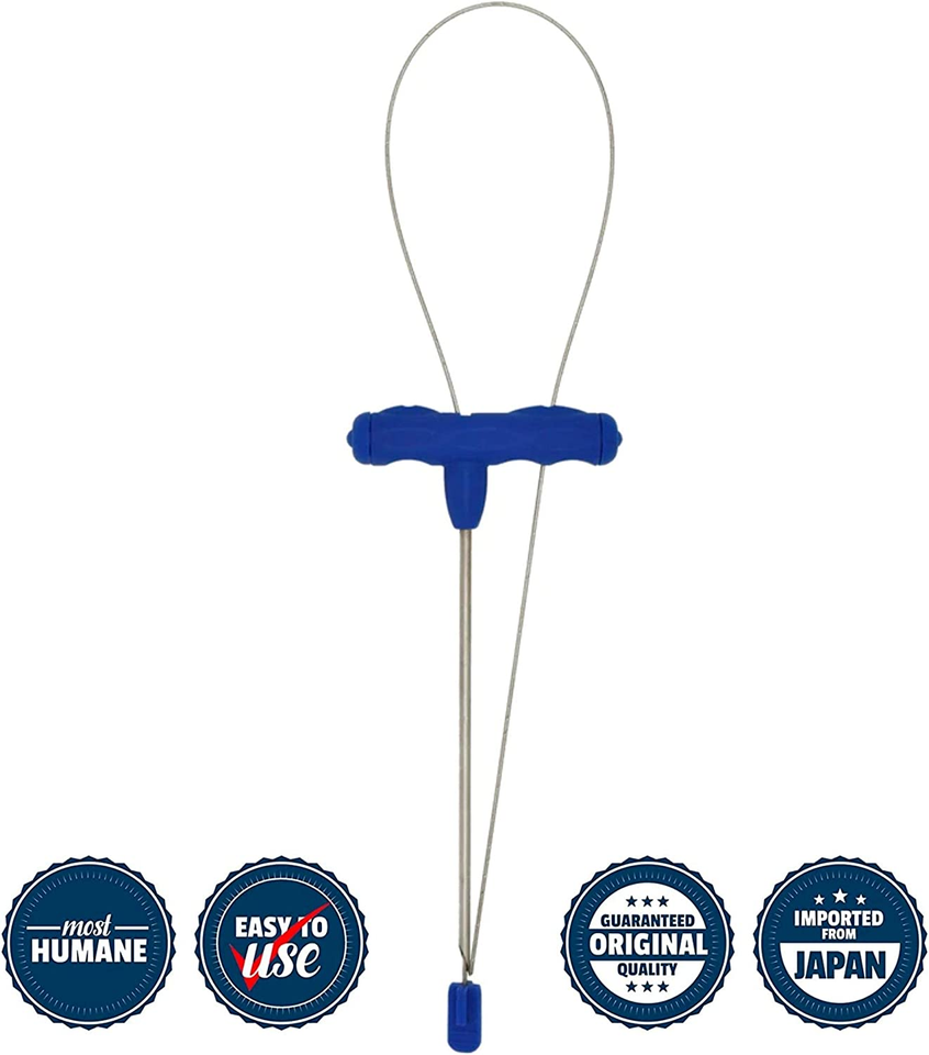 IKEJIME Rugged IKE Jime Kit: Ikijime Fish Spike with Shinkejime ...