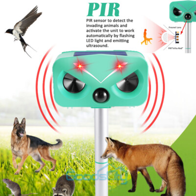 Ahuyentador De Perros Repelente Para Gatos Aves Espanta Animales ...