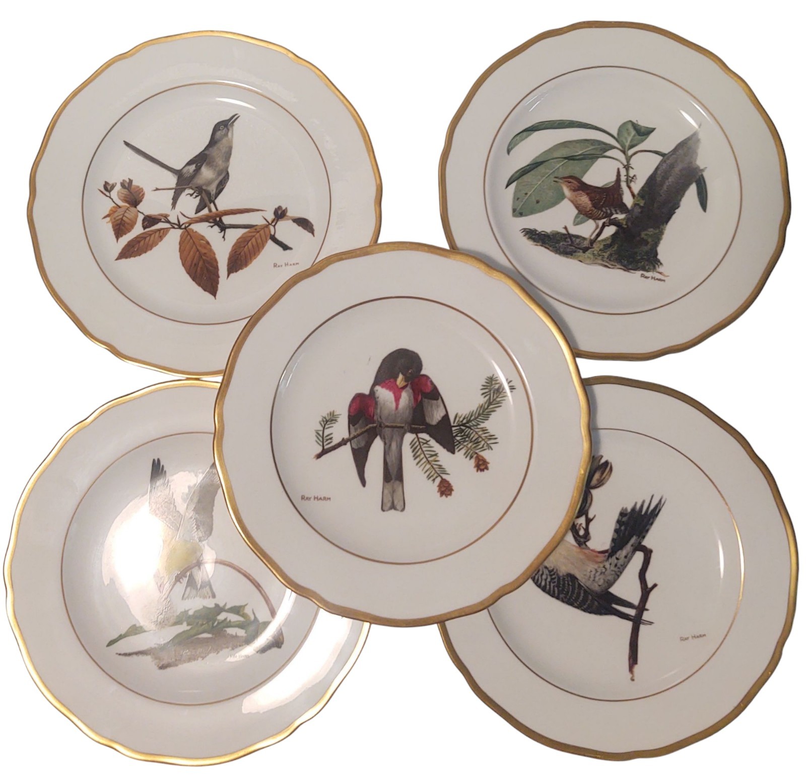 Set Of 5 Spode Ray Harm American Songbird Series 9” Plates | eBay