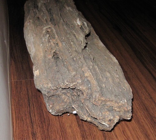 GORGEOUS 60lb PETRIFIED WOOD LOG, MINERAL, ROCK ANTIQUE | eBay