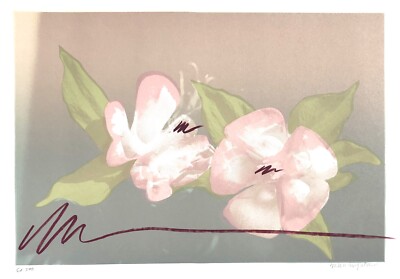 Susan Singleton Signed Limited Edition Print | eBay