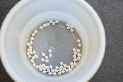 30 XXS PEARL Plastic Mono Eyes for Fly Tying | eBay