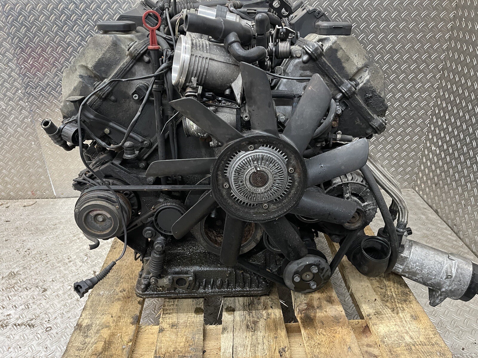 BMW E39 535i V8 M62B35 235PS Motorblock Zylinderkopf Motor #25457 | eBay.de