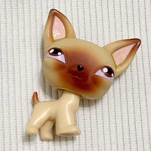 Littlest Pet Shop LPS Chihuahua #1 Tan Cream Brown Eyes Dog Puppy 1st ...