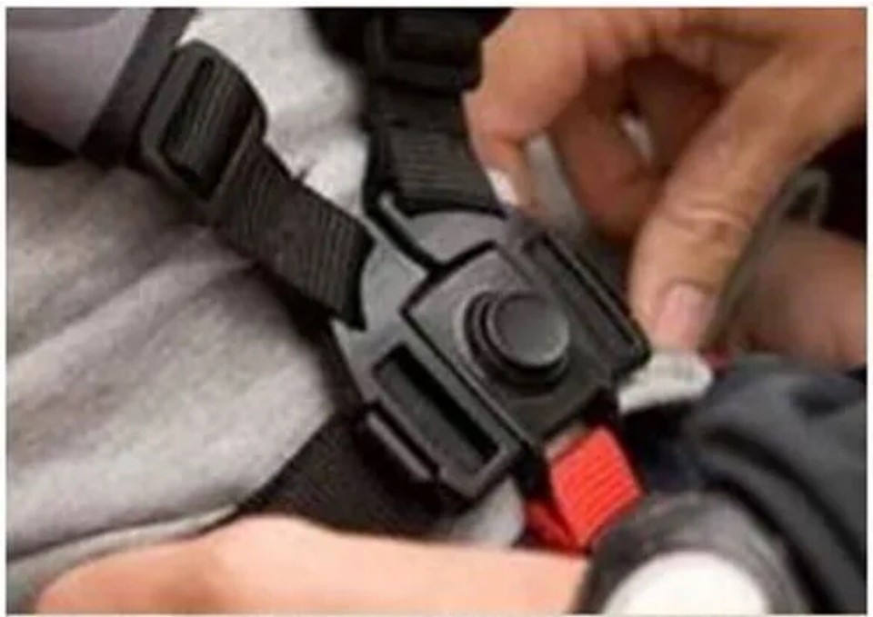 JOOVY Big Caboose Graphite Stroller Child 5 Point Buckle Clip ...
