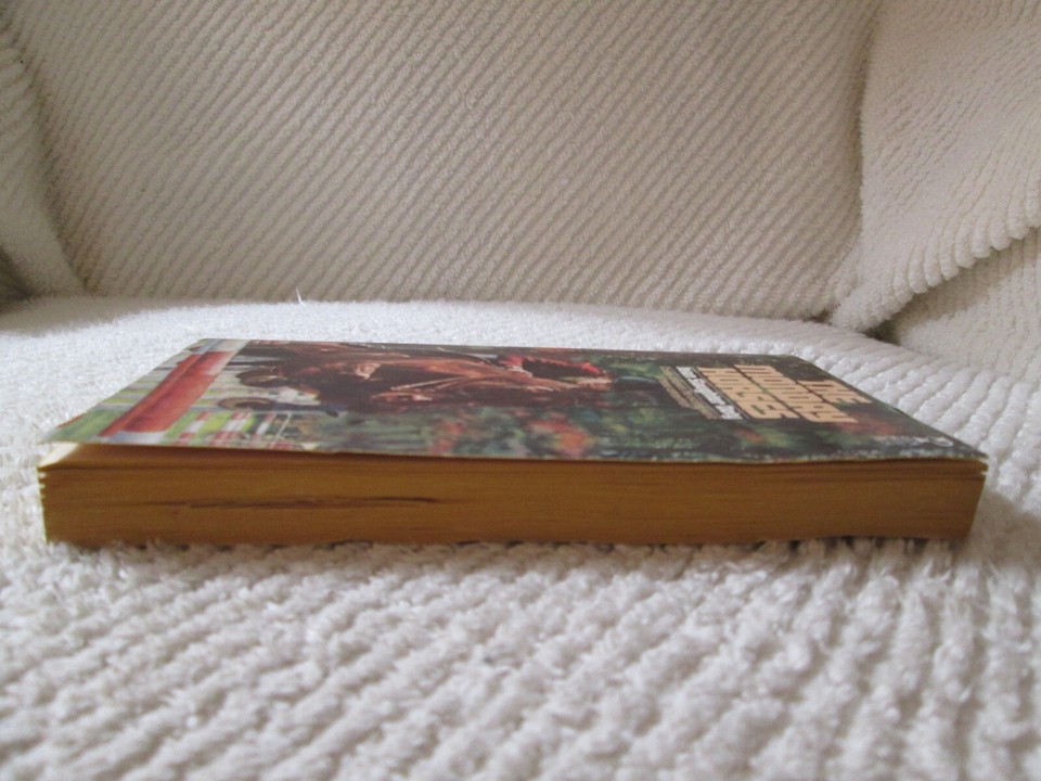 The Monday Horses by Jean Slaughter Doty Vintage Mass Market PB 1979 ...