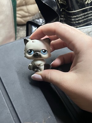 Hasbro Littlest Pet Shop #60 Persian Cat White, Blue Eyes LPS Magnet ...