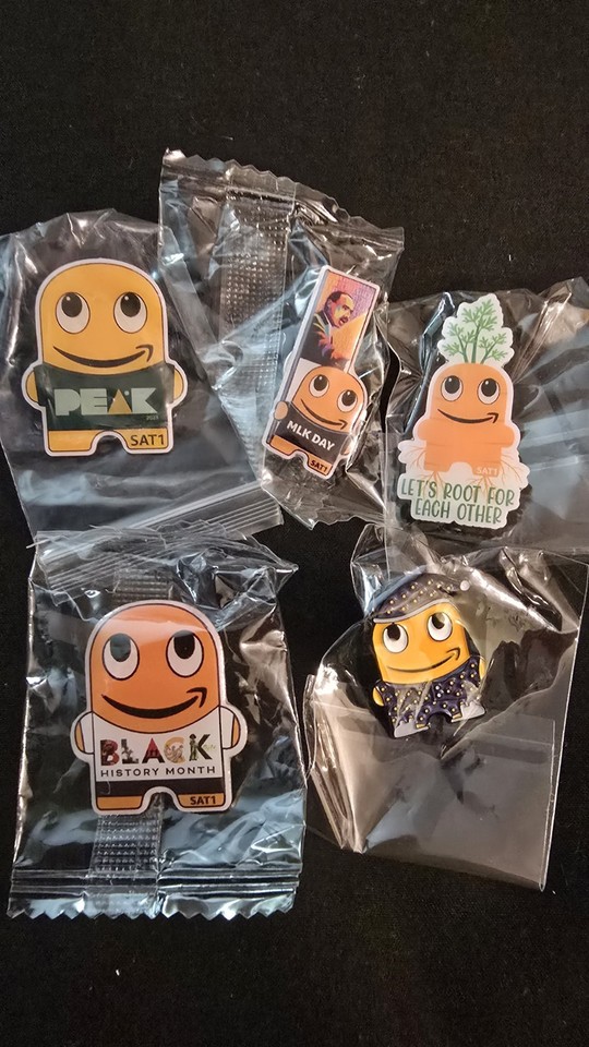 NEW Amazon Peccy PIN LOT 147 Piece Assortment Many Duplicates | eBay