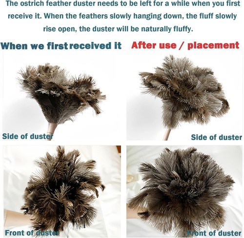 Feather Duster, Dusters for Cleaning Ddzmz Fluffy Brown 16" 689771175300| eBay