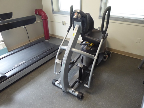 SCIFIT REX 7001 Total Body Recumbent Elliptical | eBay