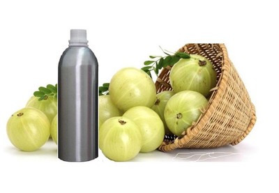 Organic Gooseberry/ Amla Essential Oil Pure Therapeutic Aromatherapy ...