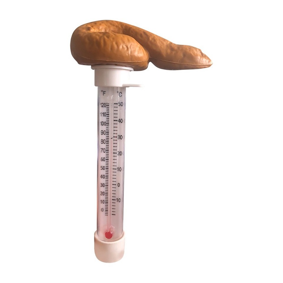 Floating Poop Thermometer Pool Water Gauge Fahrenheit Celsius Easy Read ...