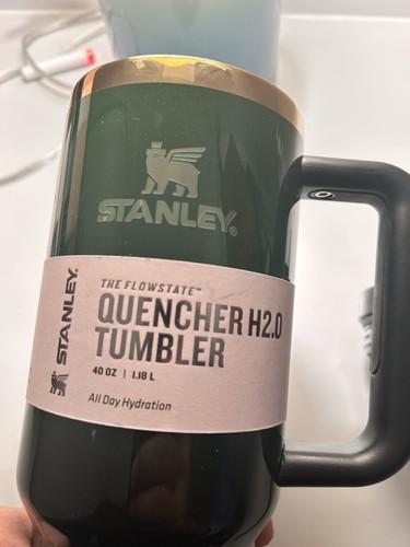 Stanley Wicked x Target Elphaba 40oz H2.0 Flowstate Quencher Tumbler | eBay