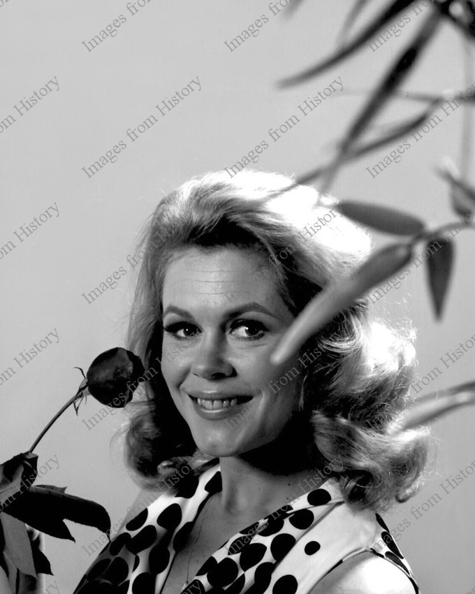 Elizabeth Montgomery See Through