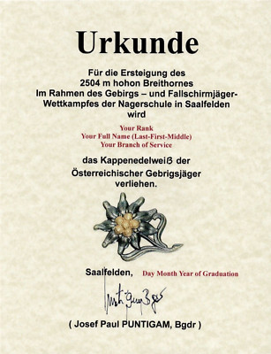 German Mountain Troops Edelweiss Badge Certificate | eBay