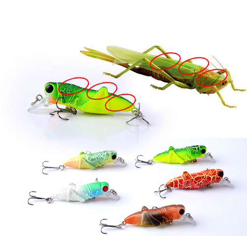 10Pcs Insect Fishing Lure Crankbait Bass Grasshopper Artificial Bait ...