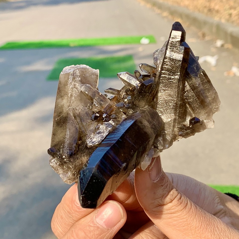 117G Natural black crystal skeleton cluster black mineral mud sample ...