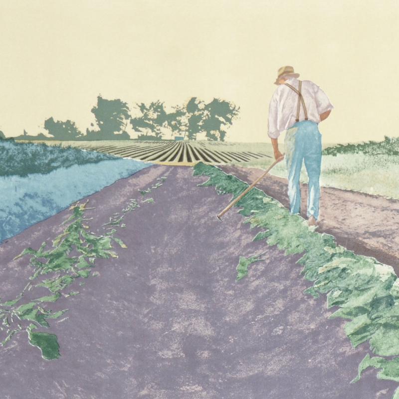 William Nelson - "Cabbage Patch" Limited Edition Serigraph, Hand signed ...