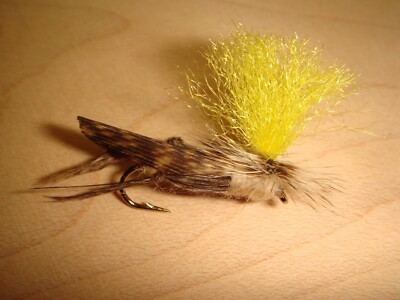 Dry - Strike Indicators