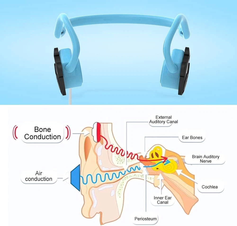 Conduction Diagram For Kids
