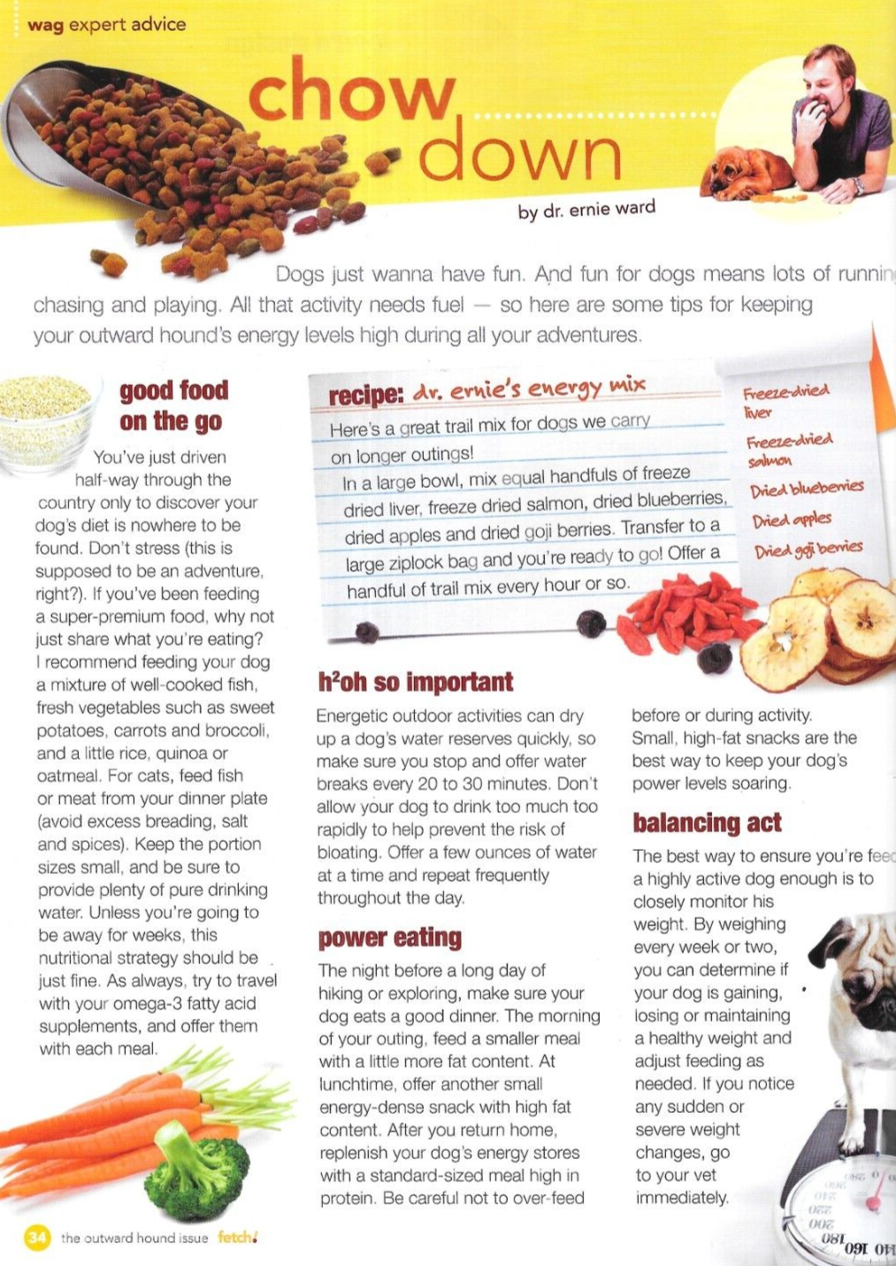 Fetch Magazine Outward Hound Issue Weather Noise and Phobias Outdoors ...