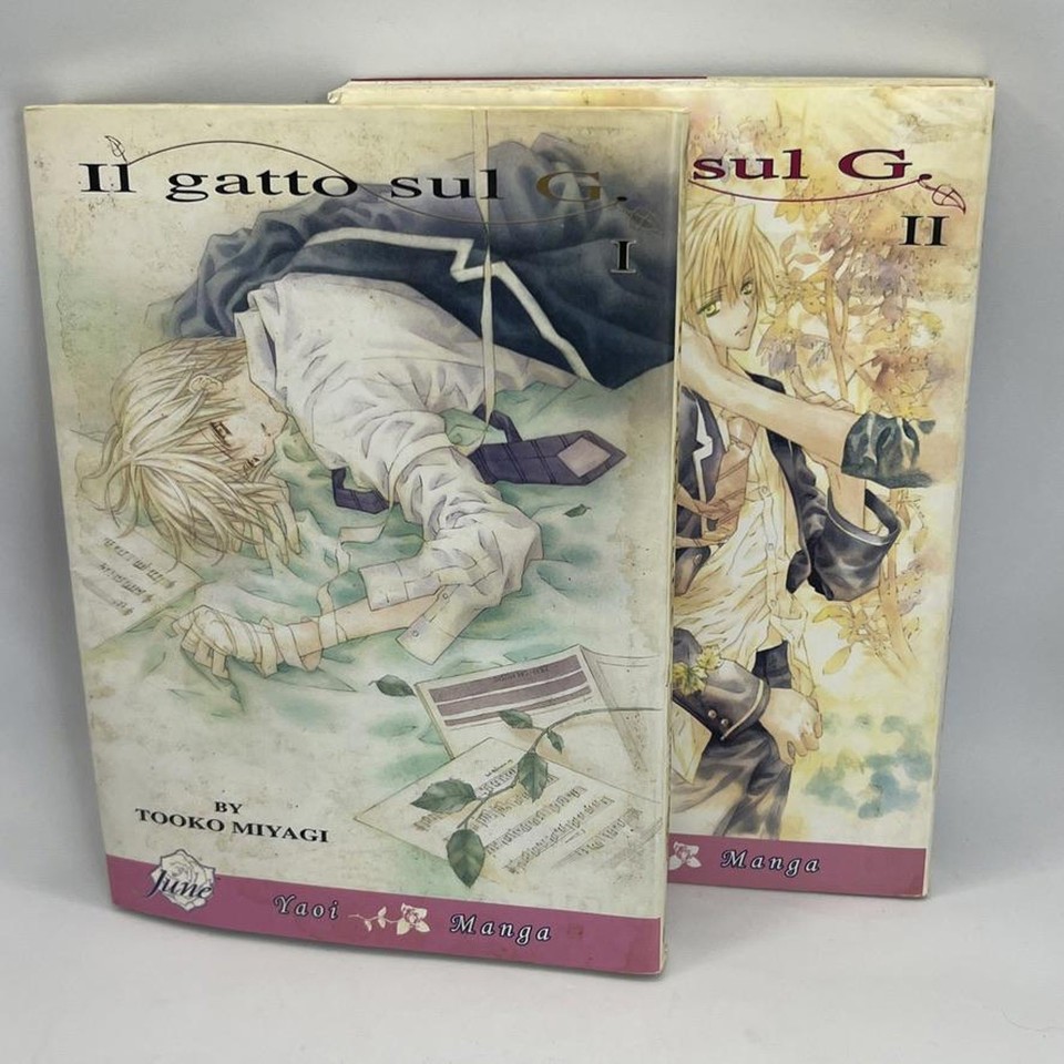 Il Gatto Sul G Volumes I & II by Tooko Miyagi - Yaoi Manga Set | eBay