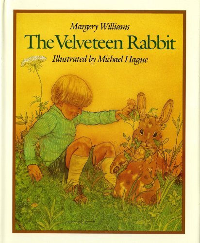 The Velveteen Rabbit,Margery Williams Bianco, Michael Hague | eBay