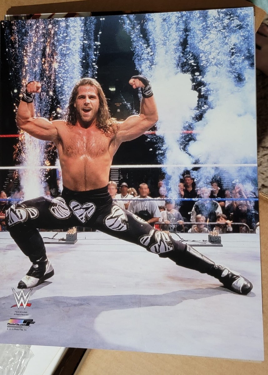 Desgosto Garoto Shawn Michaels Logo