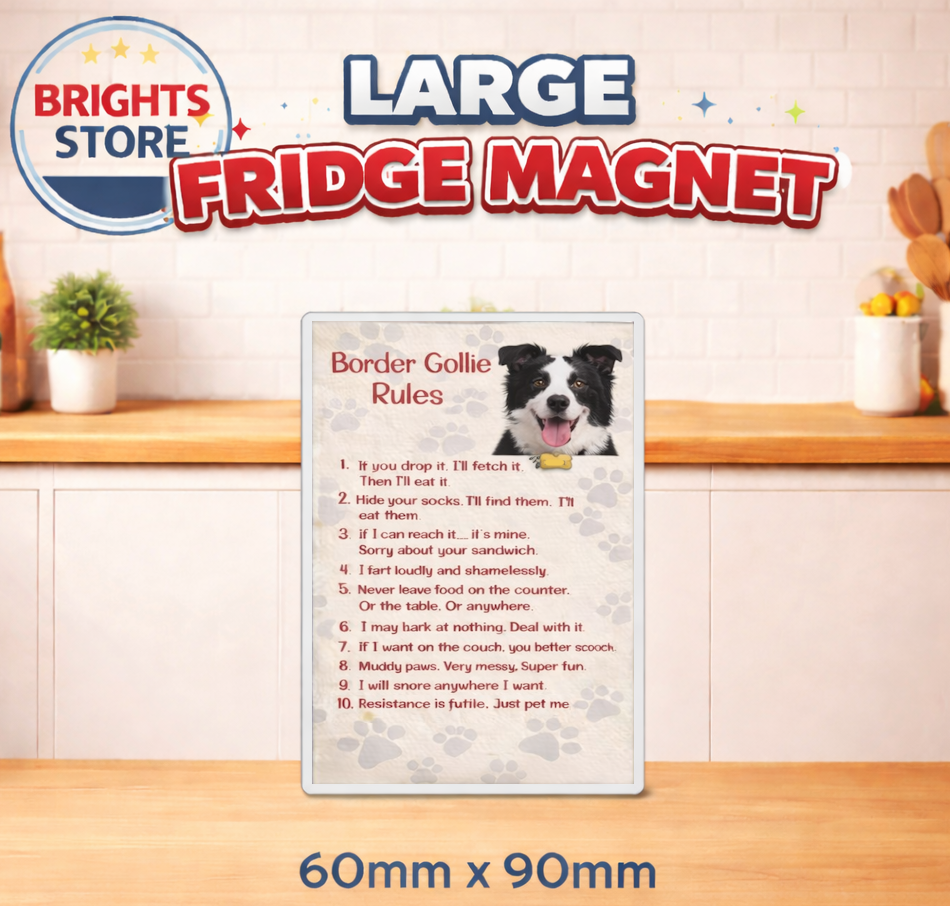 Jumbo Border CollieRules Fridge Magnet Funny Dog Lover Gift Kitchen ...