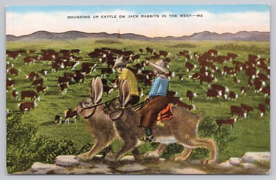Exaggeration Postcard - 2 Cowboys Riding Huge Jack Rabbits - Rounding ...