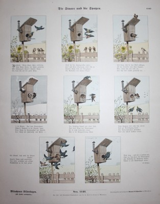 Staare Sparrows Birds Münchener Image Gallery No. 1142 Adolf | eBay