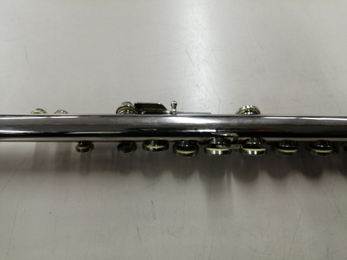 "Nikkan No 30 Flute with Case - For Parts/Repair, Used Condition" | eBay