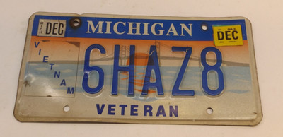 2002 MICHIGAN LICENSE PLATE VIETNAM VETERAN WAR 6HAZ8 Mackinaw Bridge ...