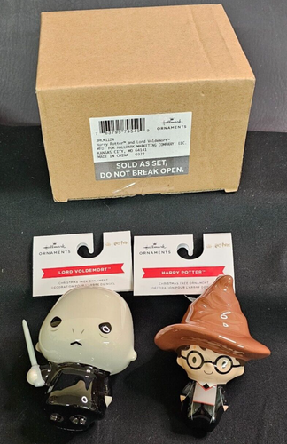 Hallmark Harry Potter Wearing Sorting Hat and Voldemort Decoupage ...