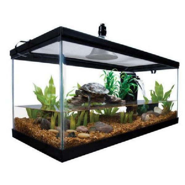 Gallon Turtle Tank