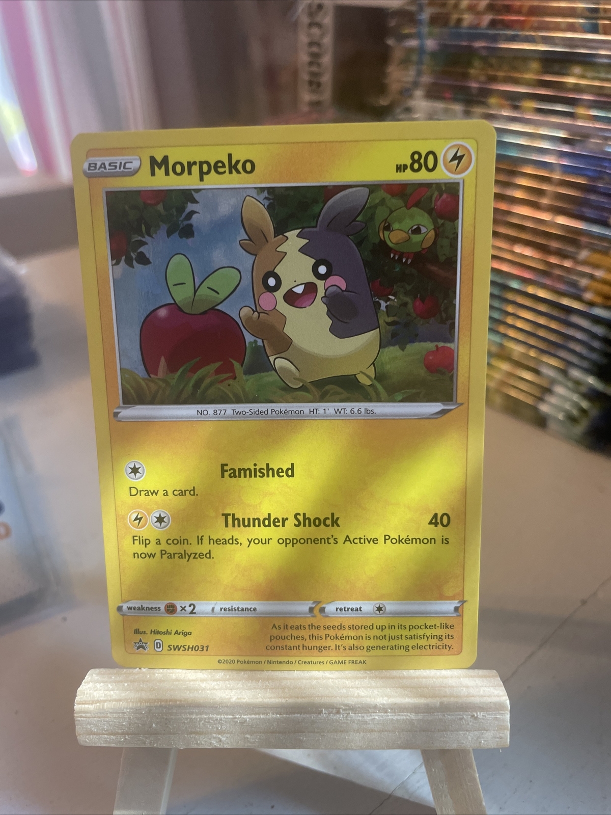 Morpeko SWSH031 Holo - 2020 Pokemon Black Star Promo (723 | eBay