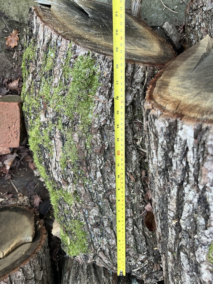 logs for sale | eBay UK