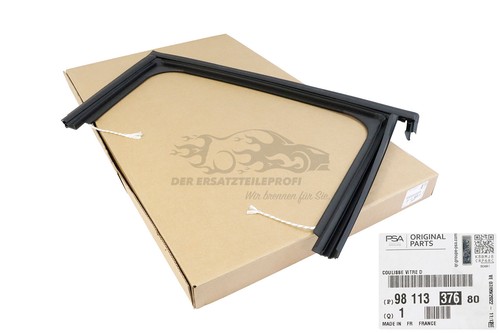 Original Peugeot Scheibenführung hinten rechts 2008 9811337680 | eBay