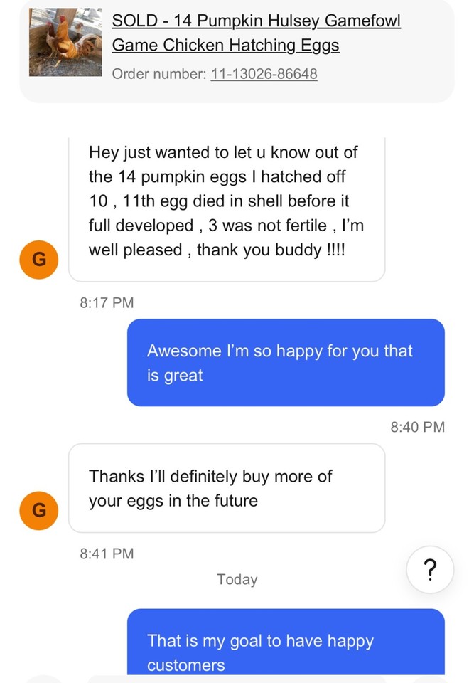 14 Red Quill gamefowl Chicken Hatching Eggs | eBay