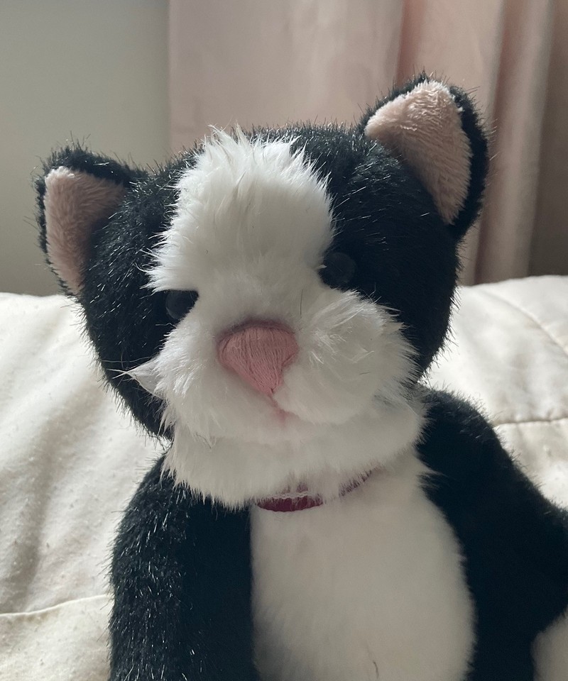 New Retired Charlie Bear JINKSY Cute Black & White Plush 24cm | eBay UK