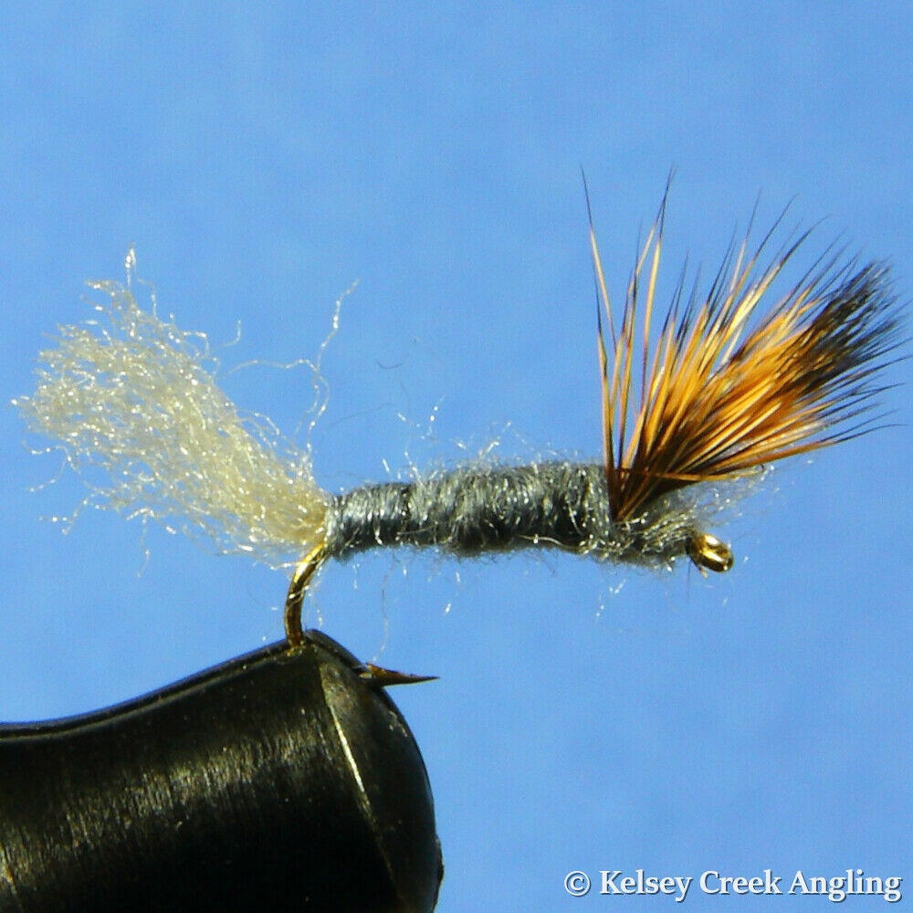 1 Dozen (12) Sparkle Dun Adams, dry fly, tourt fly | eBay