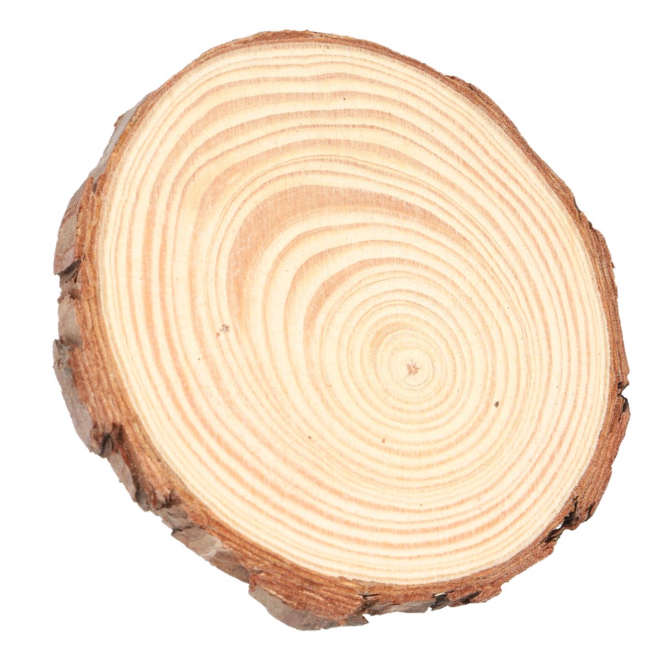 Wood Slices Round Pine Logs Crafts Painting Wedding Party Decoration 4 ...