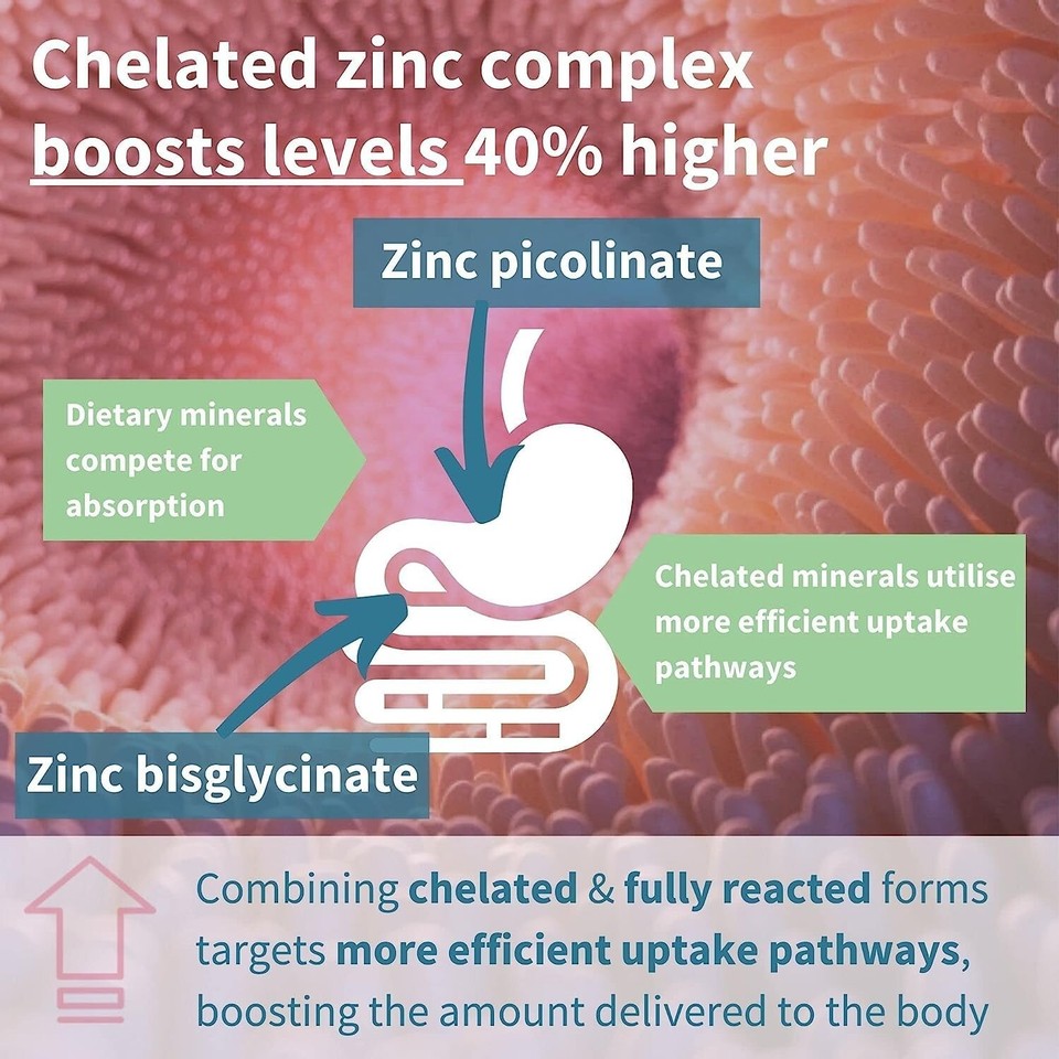 Zinc Picolinate & Bisglycinate Complex with Copper, Zinc for Immune ...
