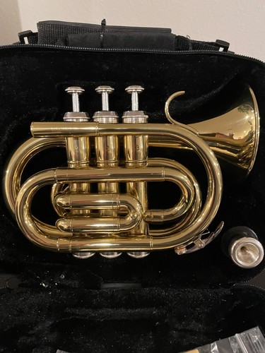 stagg pocket trumpet! | eBay
