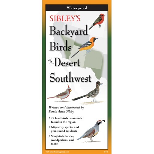 Sibley’s Backyard Birds of Desert Southwest | eBay