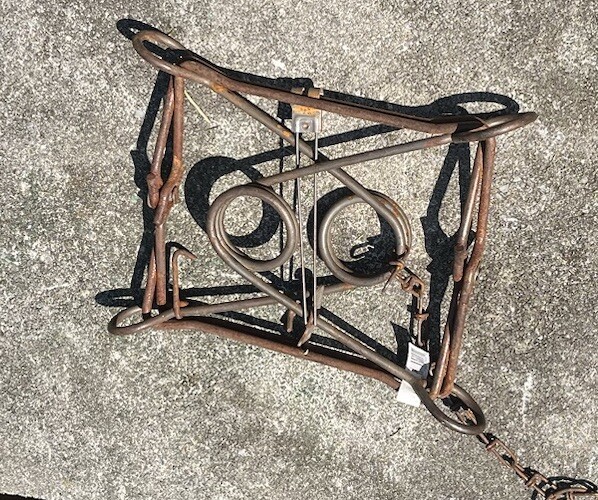 1 Duke #330 Body Grip Trap Beaver Otter Bobcat Coyote Trapping 0430 | eBay