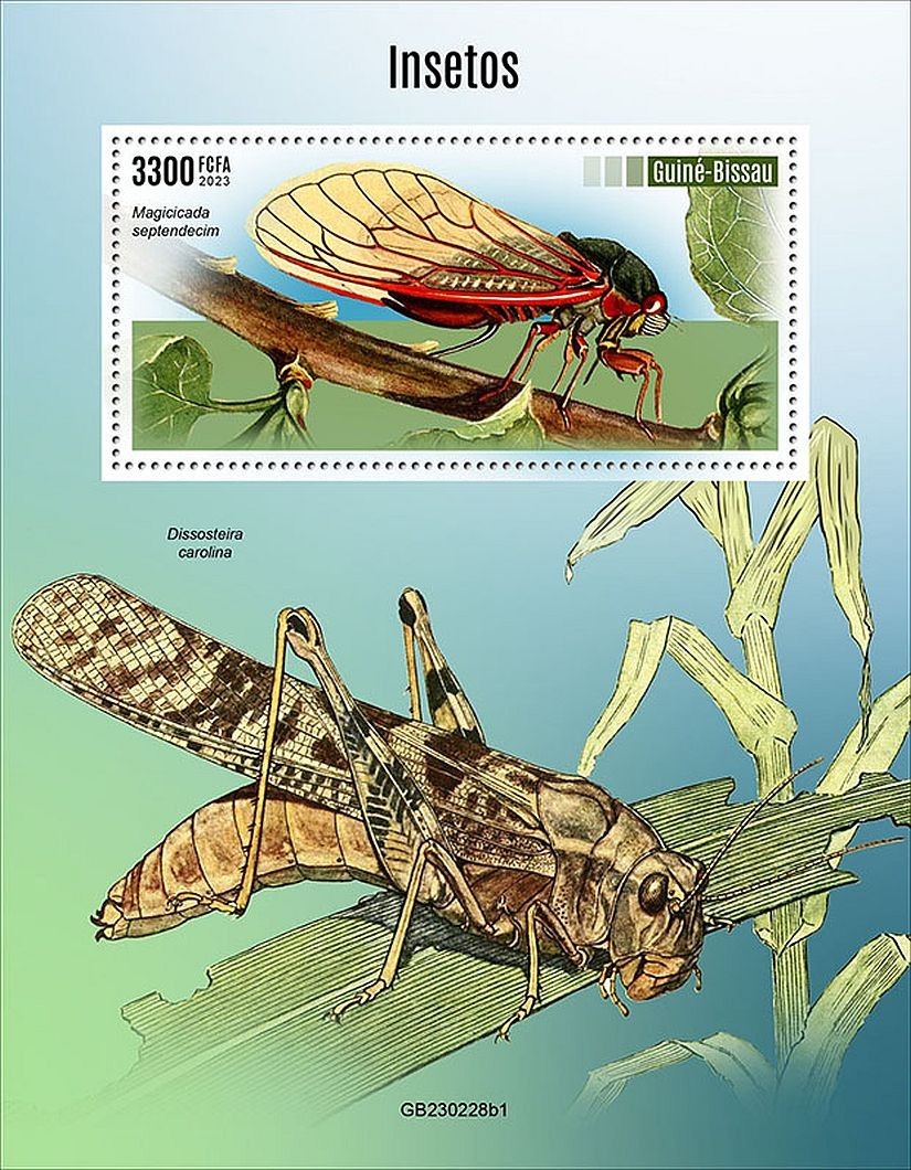 INSECTS Cicada/Carolina Locust Insect 1v-Stamp Sheet #93 (2023 Guinea ...