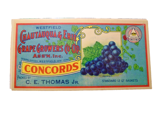 Vtg Chautauqua & Erie Grape Growers Co-op Concord Grapes Westfield NY ...