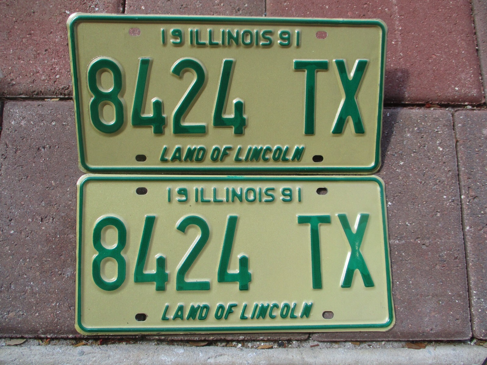 Illinois 1991 TAXI license plate pair # 8424 | eBay
