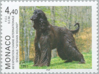 Monaco #YT2079 MNH 1996 Monte Carlo Dog Show Afghan Hound Canis lupus ...